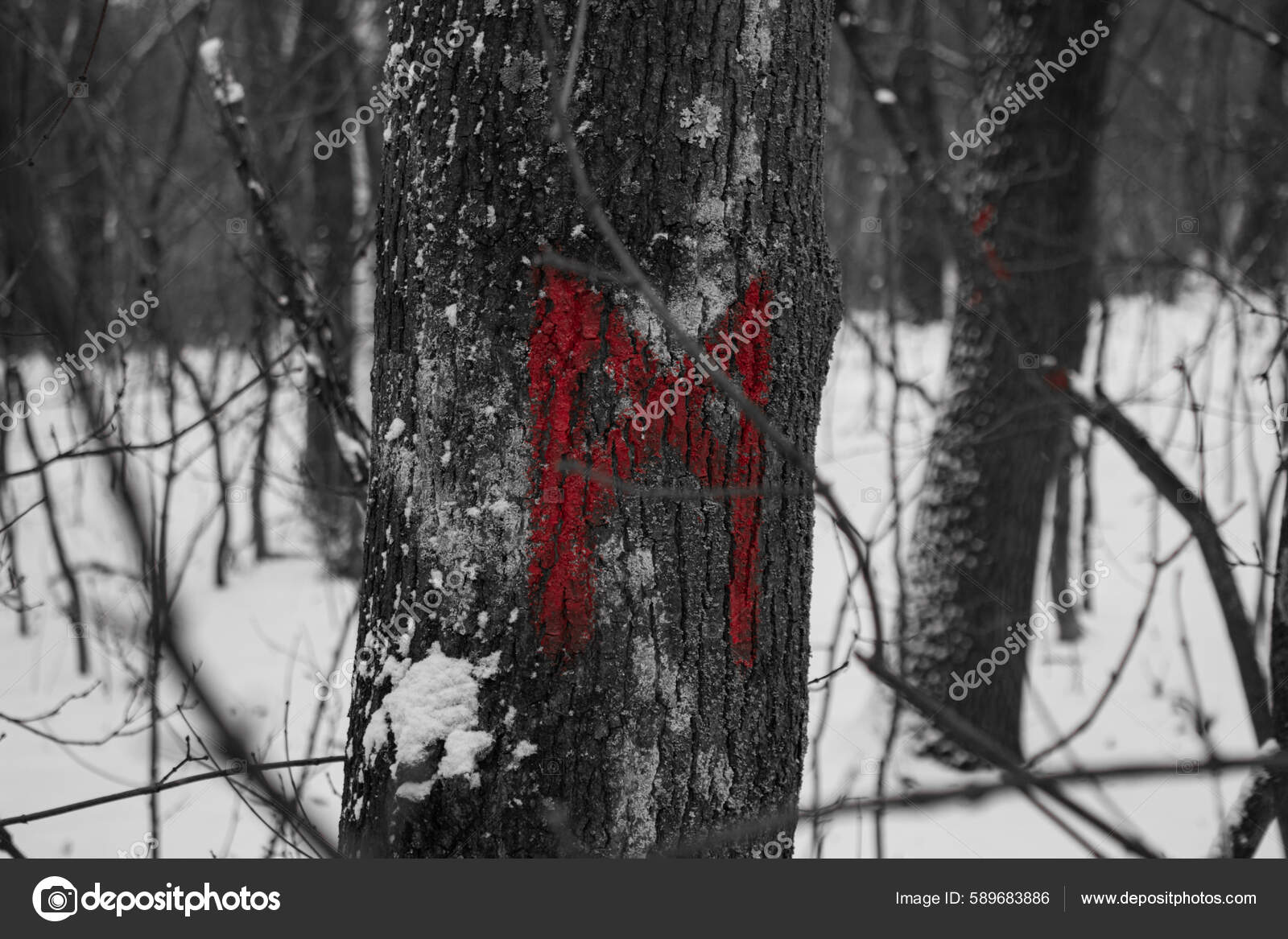 Rune Tree Forest — Stock Photo © BattleGhost #589683886