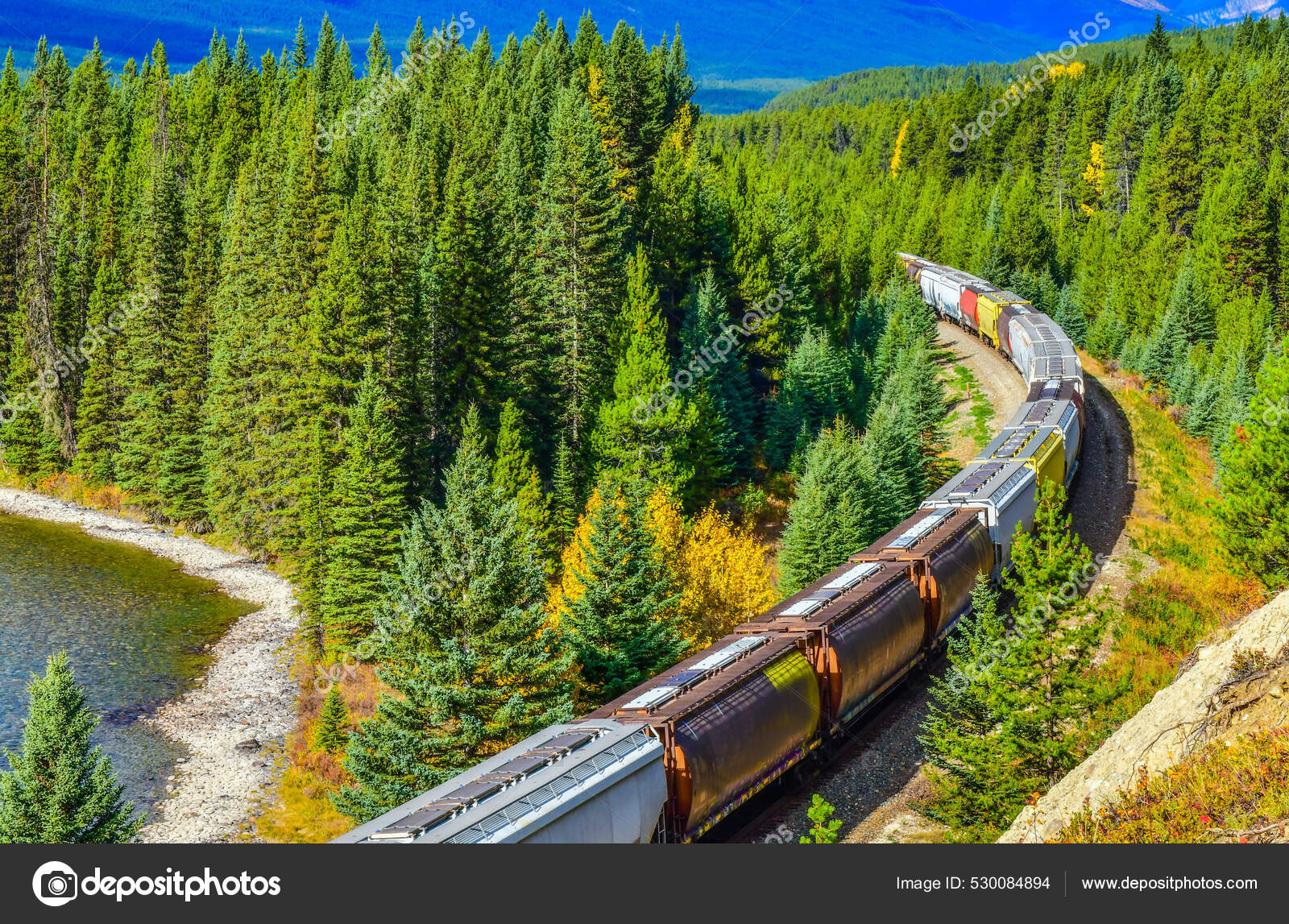Train Passing Famous Morant's Curve Bow Valley Autumn Banff National Stock Photo by ...