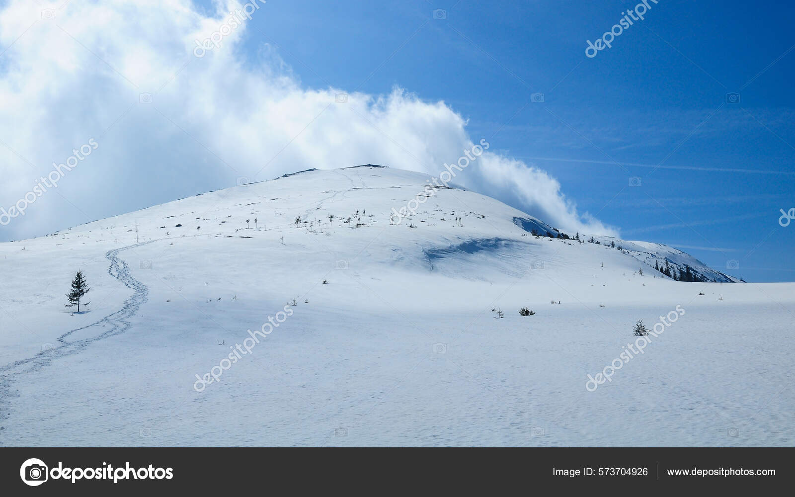 Single Fir Tree Standing Top Snowed Mountain Peak Winter Scenery ...