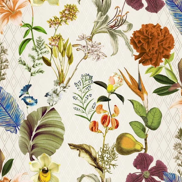 30,660,603 Laminados Stock Illustrations | Depositphotos