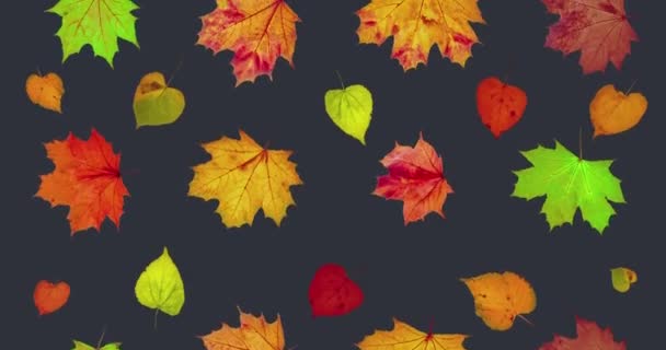 Animated Falling Leaves Background