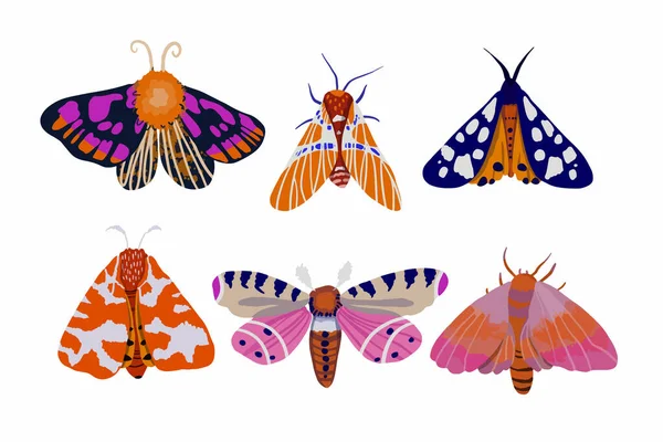 19,149,787 Calendar moths Vector Images | Depositphotos