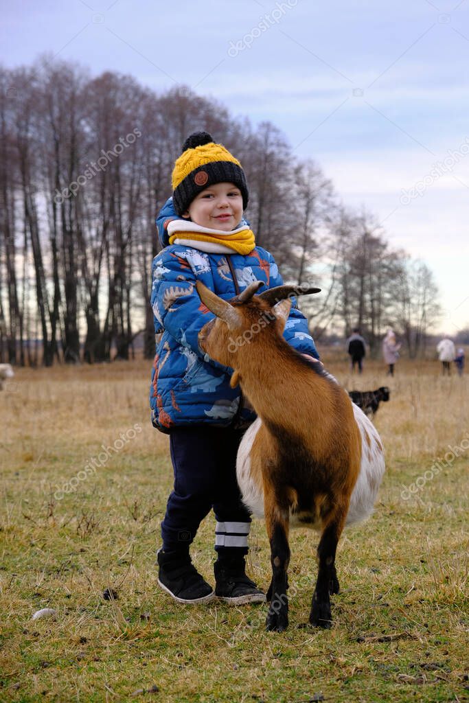 Un niño y una cabra en una granja. Niño y ganado. Sombrero y bufanda ...