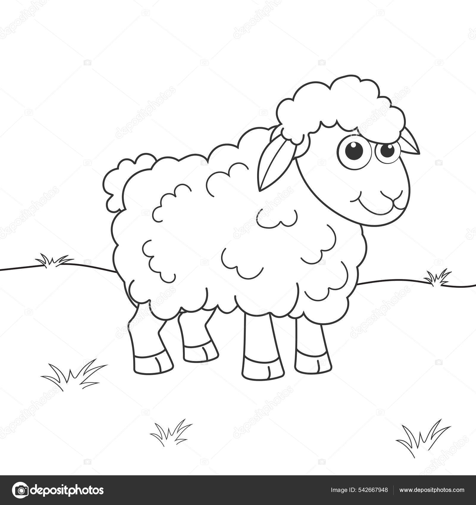 Dibujo De Ovejas Para Niños Ilustración De Dibujos Animados Ovejas