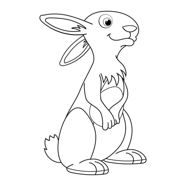 Jack Rabbit Coloring Page
