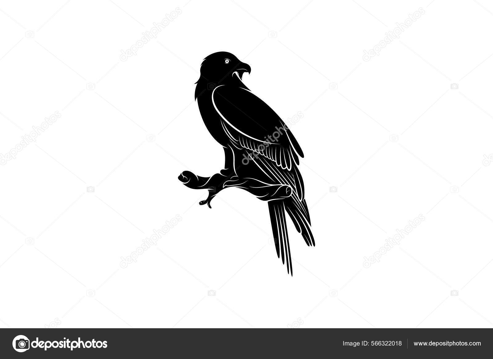 Vliegende Mus Silhouet Tatoeage Vliegende Vogels Gratis Vector