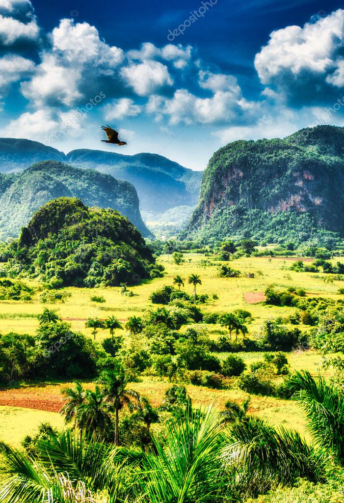 Vinales, Cuba - 10 de julio de 2018: Vista del valle de Vinales ...
