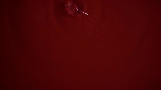 115 Puddle of blood Videos, Royalty-free Stock Puddle of blood Footage ...