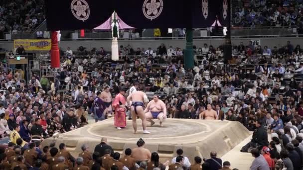Sumo-Turnier in Japan. Sumo-Ringer kämpfen. Sumo-Match. – Stockvideo ...