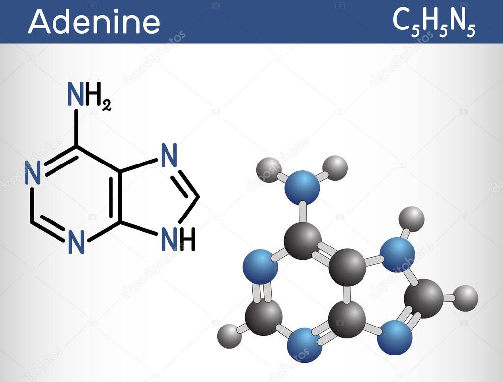 Adenina, molécula de Ade. Es nucleobase de purina, unidad fundamental del código genético en ADN ...