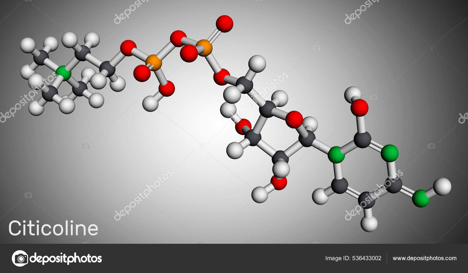 Citicolina Cdp Colina Citidina Difosfato Colina Molécula Utiliza Como ...