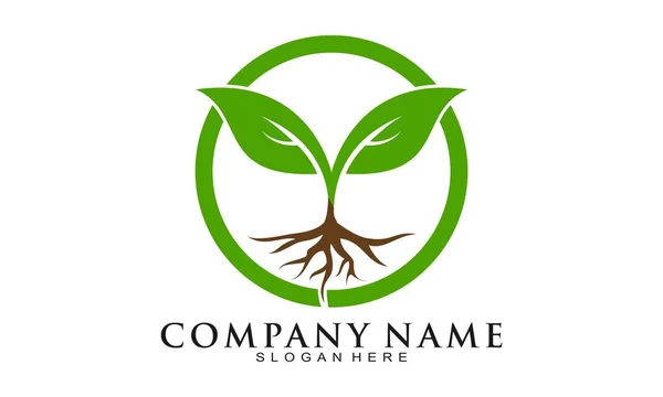 100,000 Check plant logo Vector Images | Depositphotos