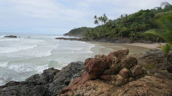 Praia de java Stock Photos, Royalty Free Praia de java Images ...