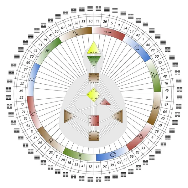 100,000 Human design bodygraph Vector Images | Depositphotos