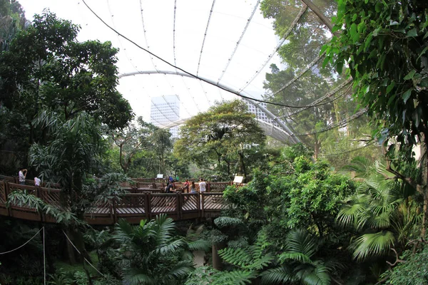 Biodome gardens Stock Photos, Royalty Free Biodome gardens Images ...