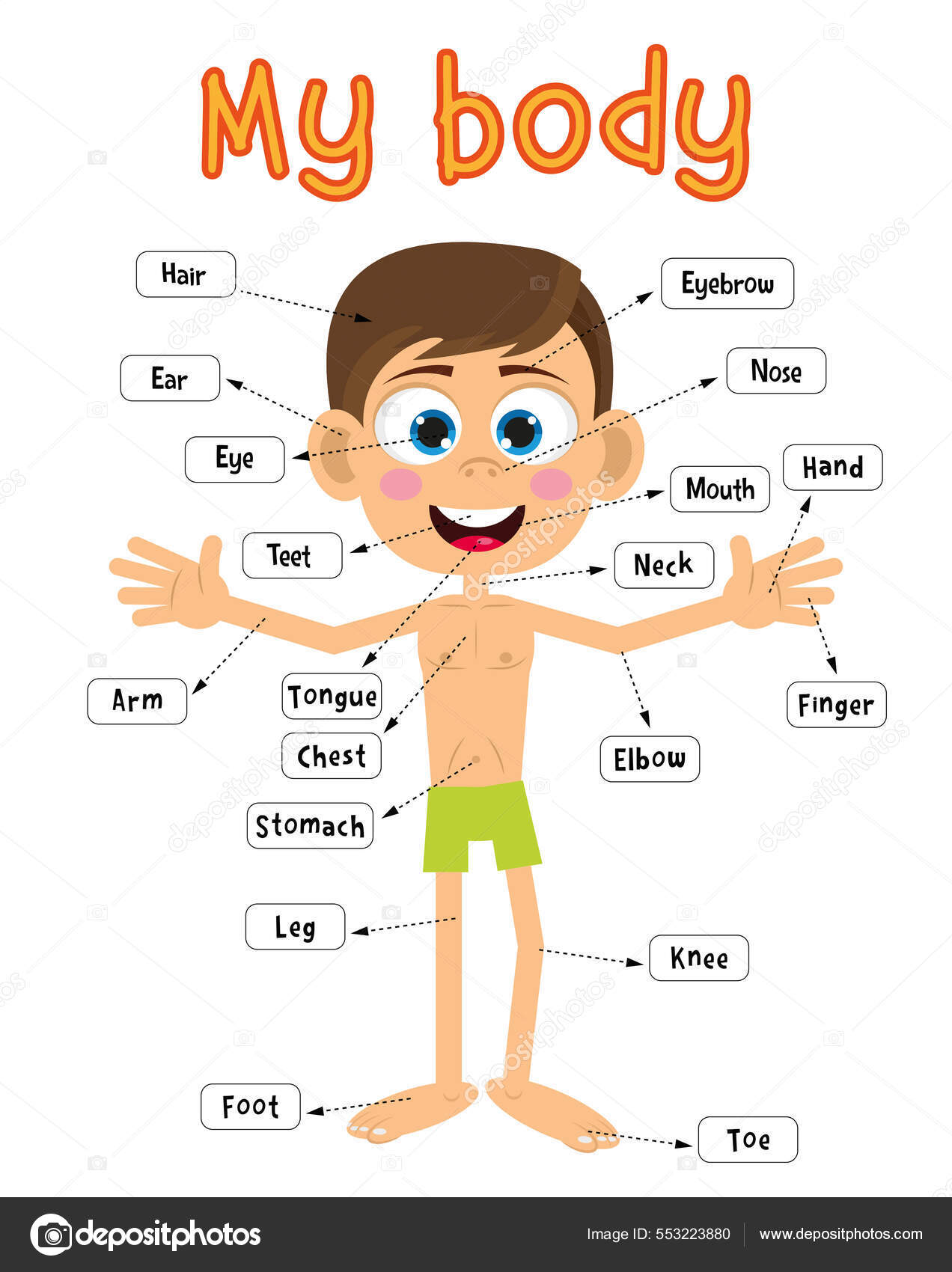 Vector Illustration Child Body Stock Vector by ©eltvector 553223880