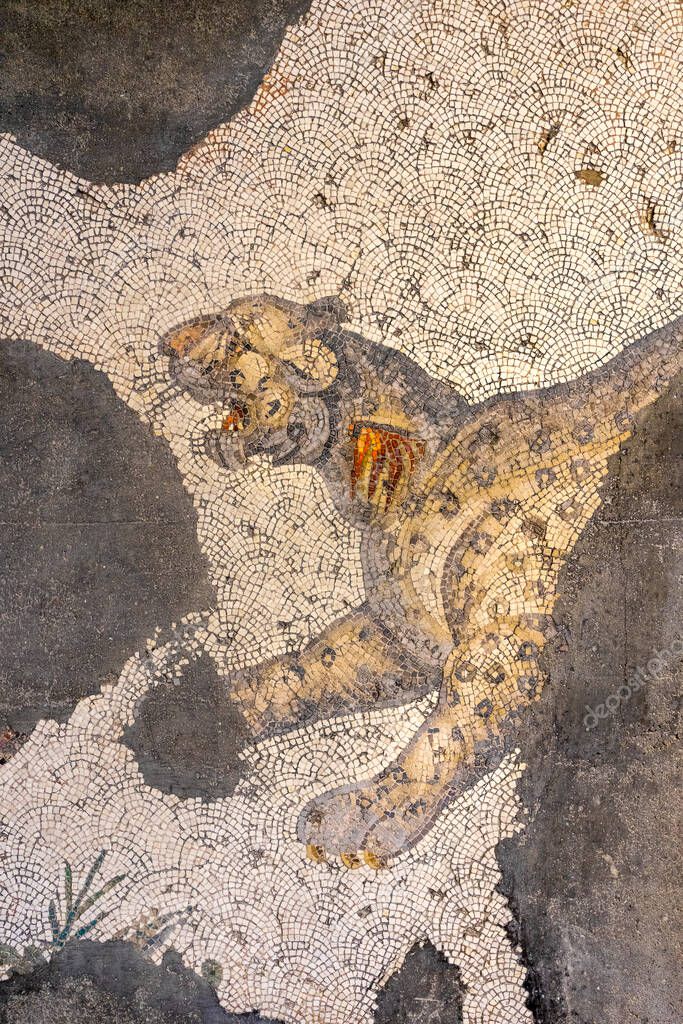 Antiguo mosaico de leopardo del período bizantino (período romano ...