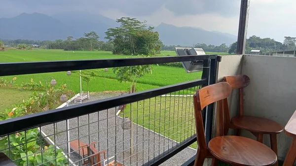 Fresh view Stock Photos, Royalty Free Fresh view Images | Depositphotos