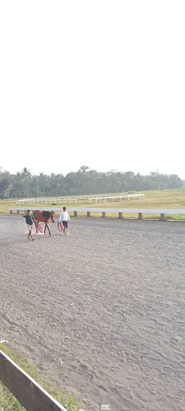 San trace Stock Photos, Royalty Free San trace Images | Depositphotos