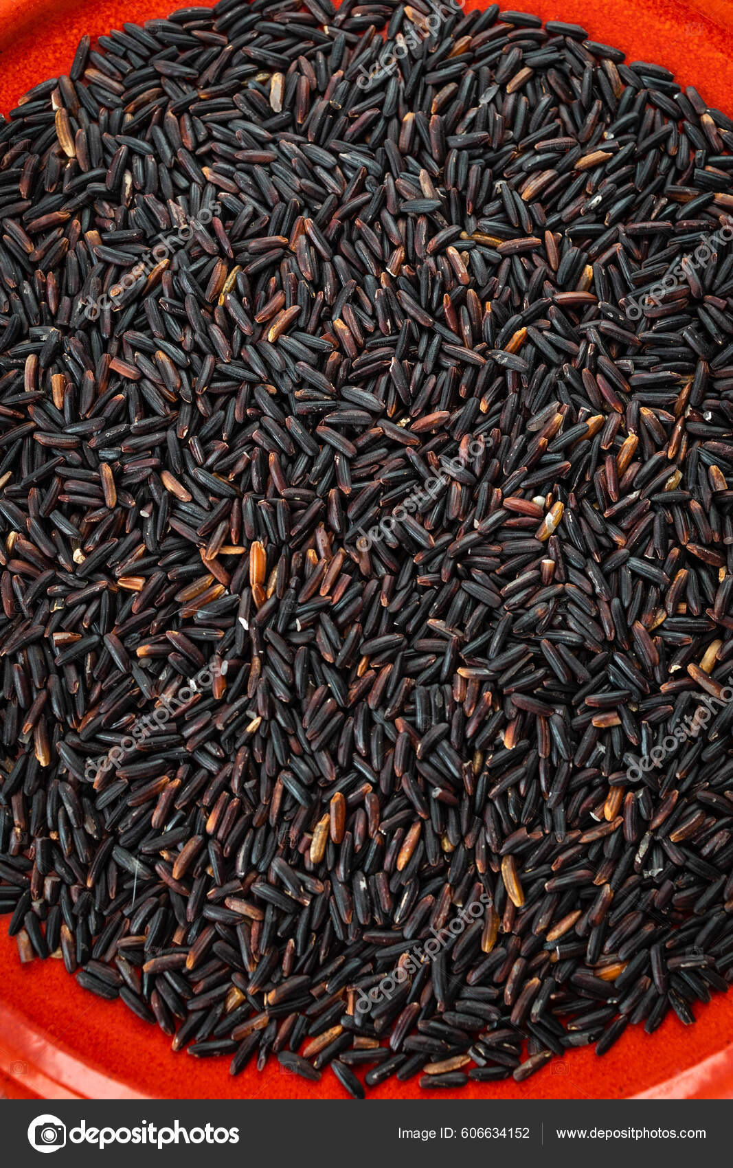 Black Rice Also Known Purple Rice Forbidden Rice Organic Unpolished ...
