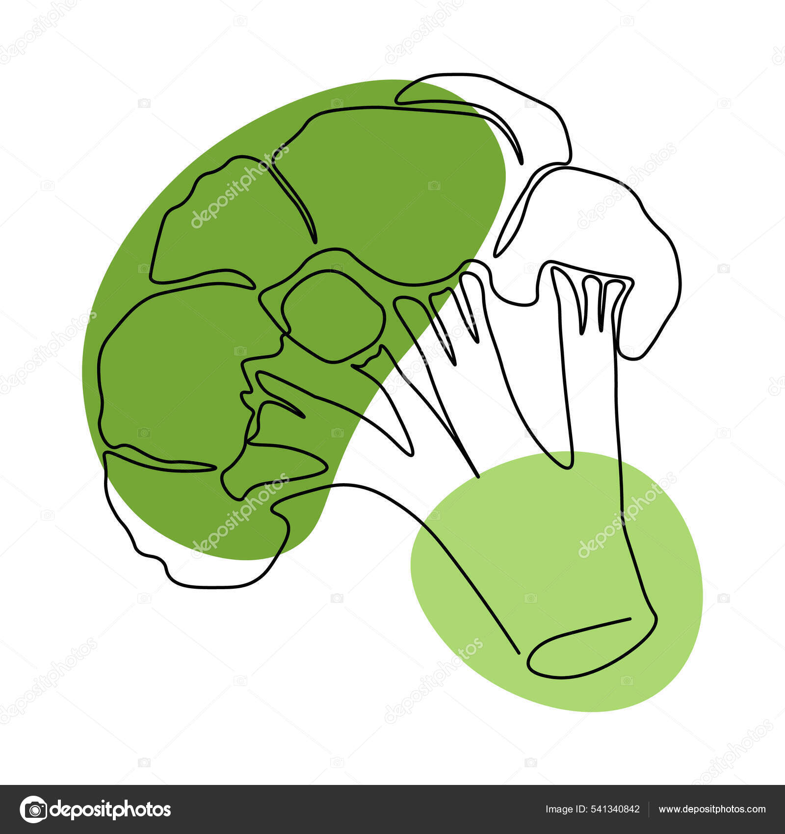 Continuous One Line Drawing Broccoli Vector Illustration Black Line Art ...