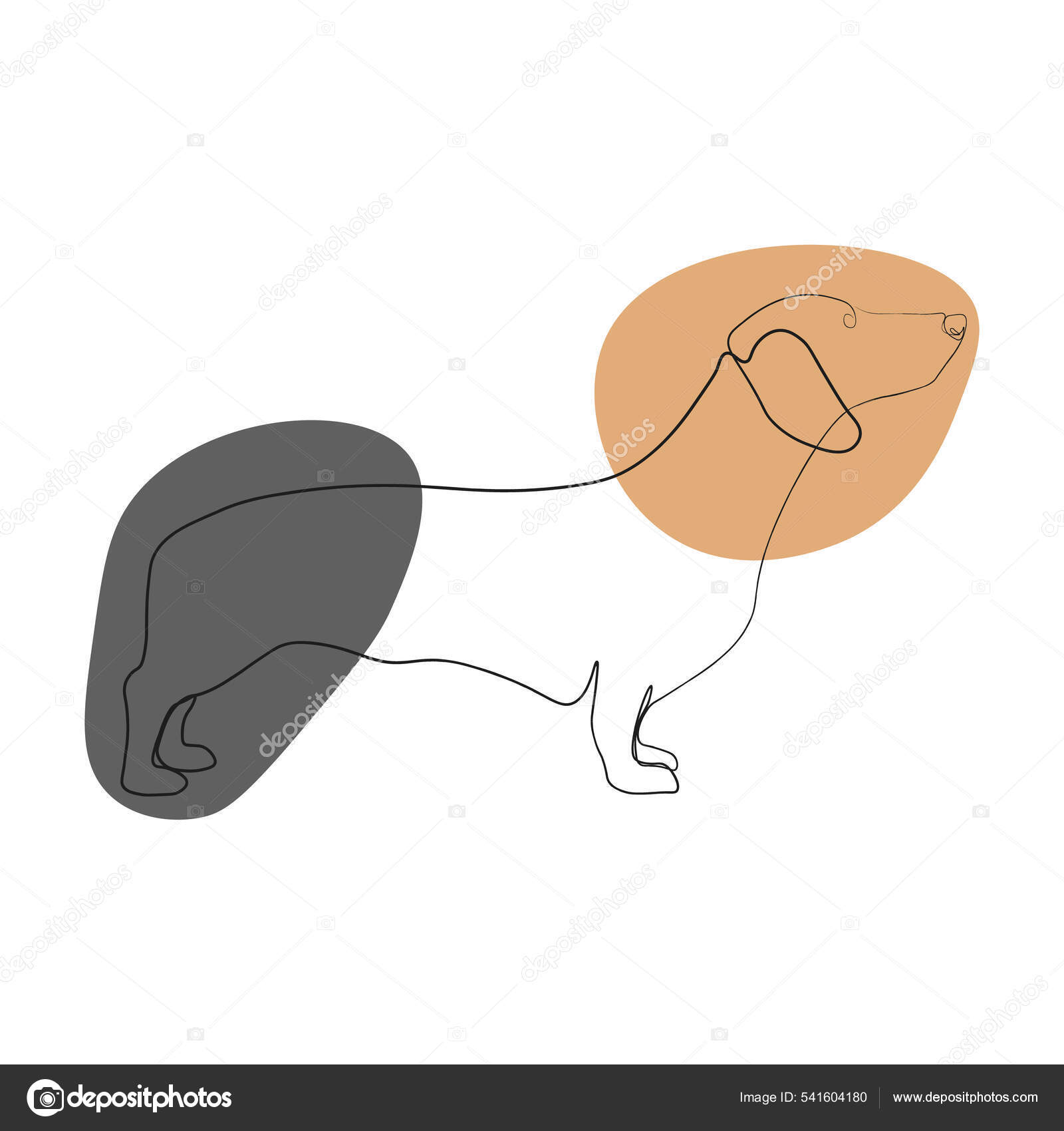 Continuous One Line Drawing Dachshund Contemporary Vector Illustration ...