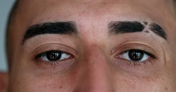 Arab Eyebrows