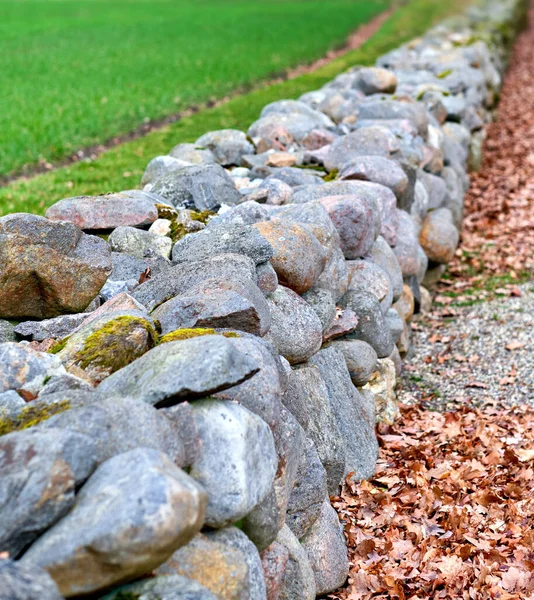 Photo realistic soil pathway with stone fence colorful very realistic ...