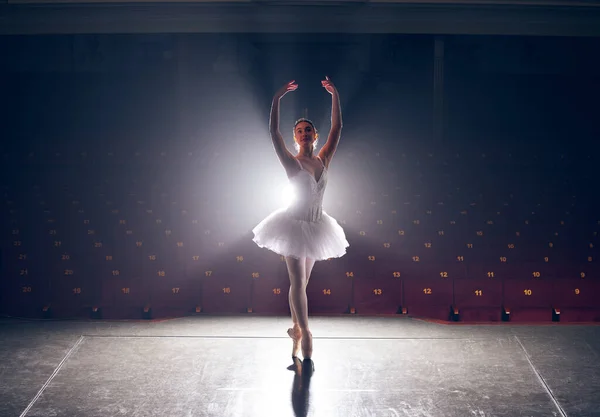 a ballerina performing her routine. - Stock Image - Everypixel