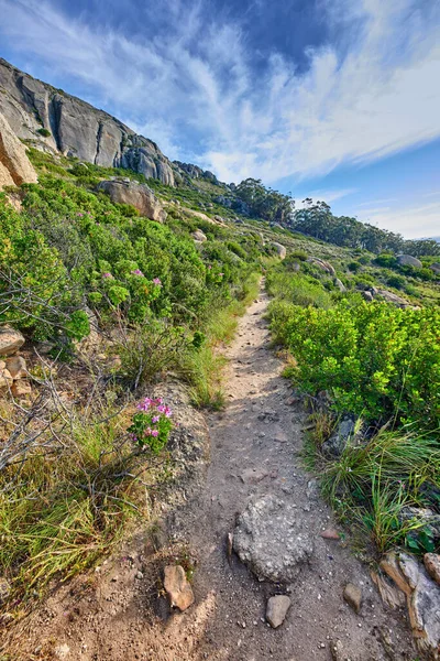 Lions head trail Stock Photos, Royalty Free Lions head trail Images ...