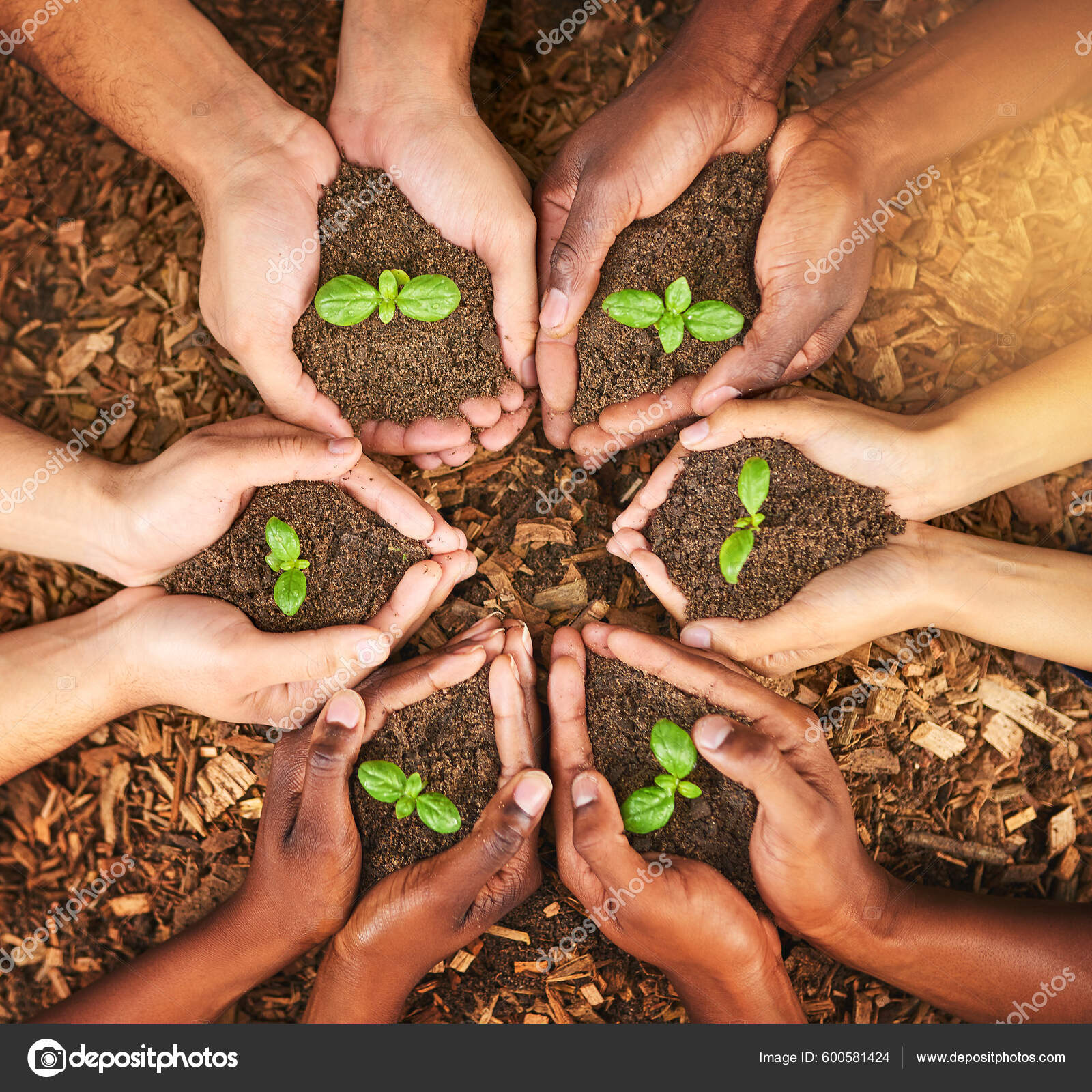 Teamwork Comes Potential Huge Growth Group People Holding Plants ...