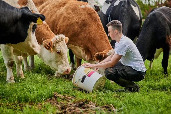 Teen feeding cows Stock Photos, Royalty Free Teen feeding cows Images ...