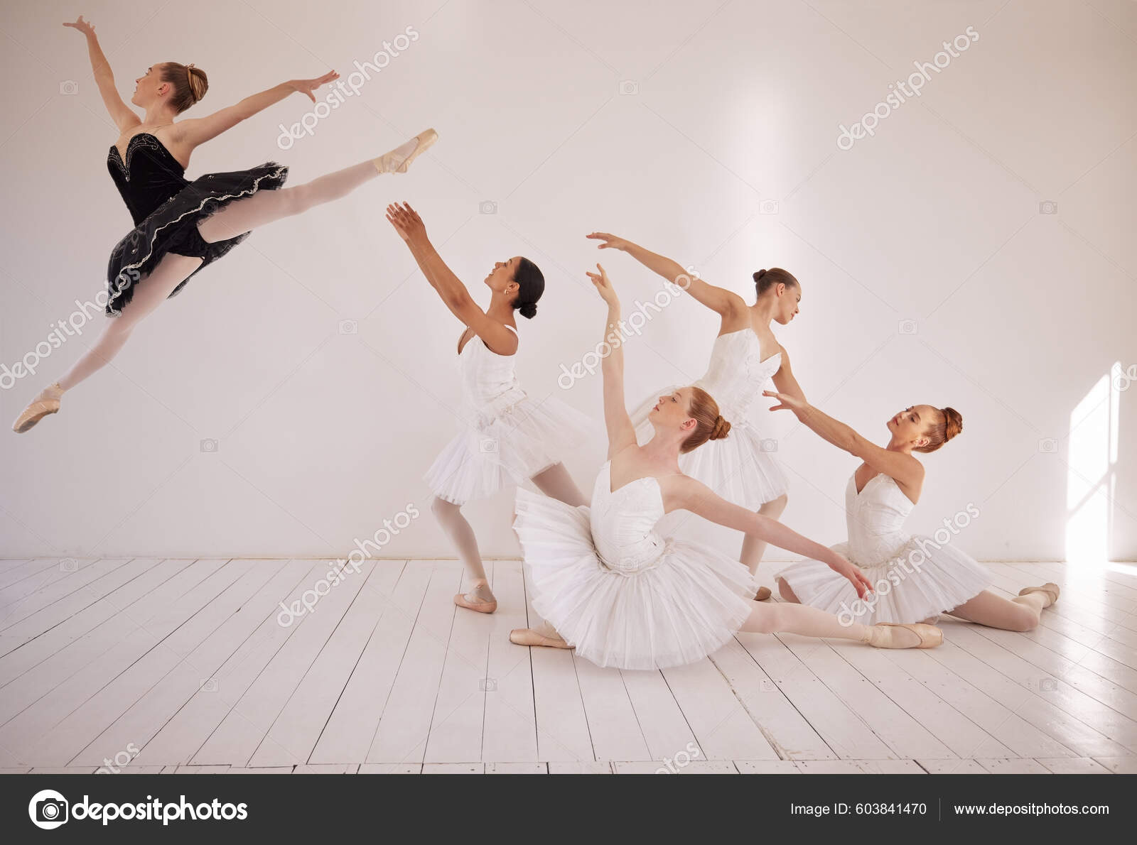 Professional Ballet Dancers In Class