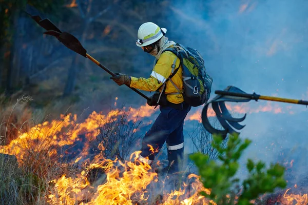 Beating back the fire. fire fighters combating a wild fire - Stock ...