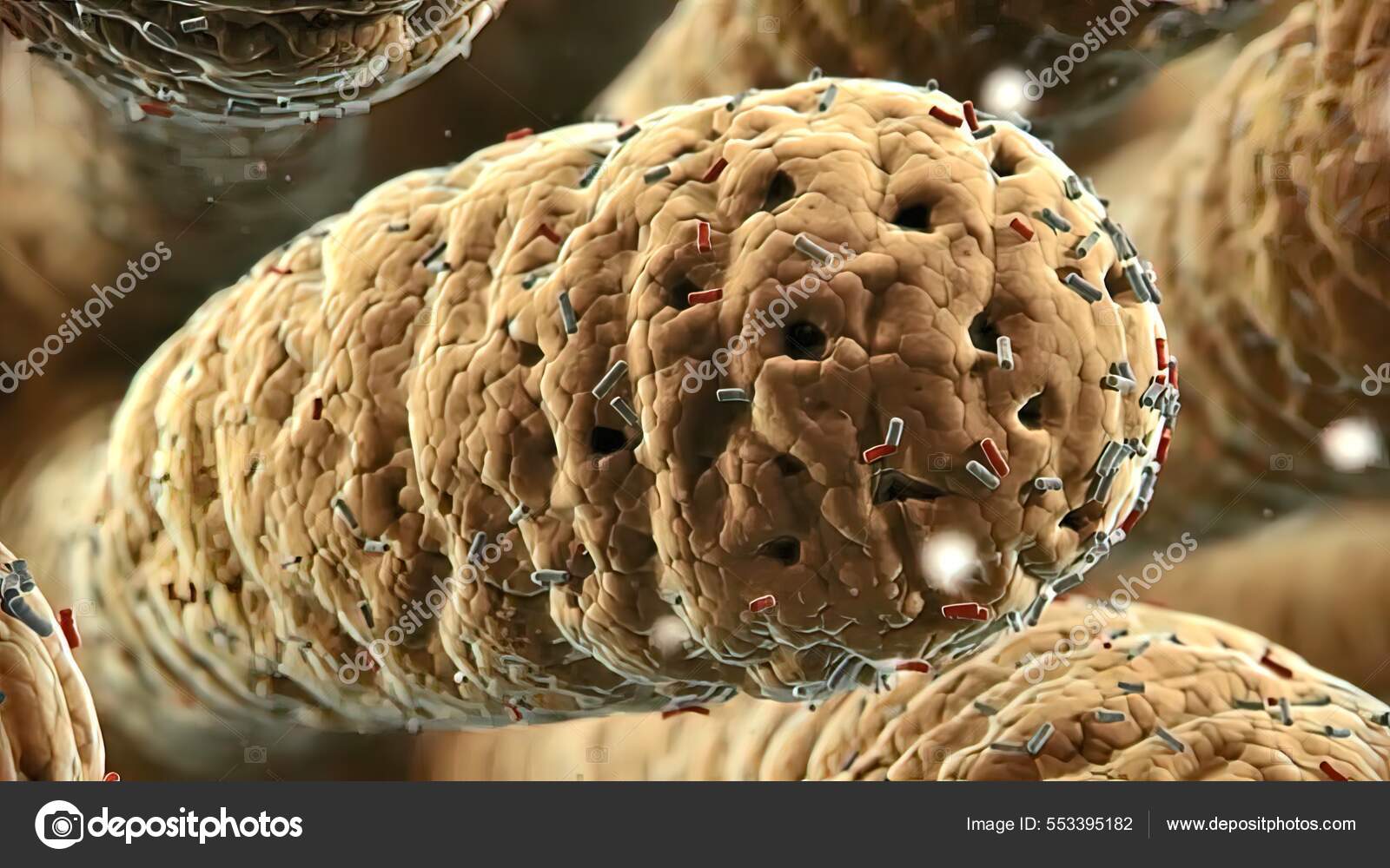 Render Microbe Human Immune System Virus Moving Screen Bacteria Virus ...