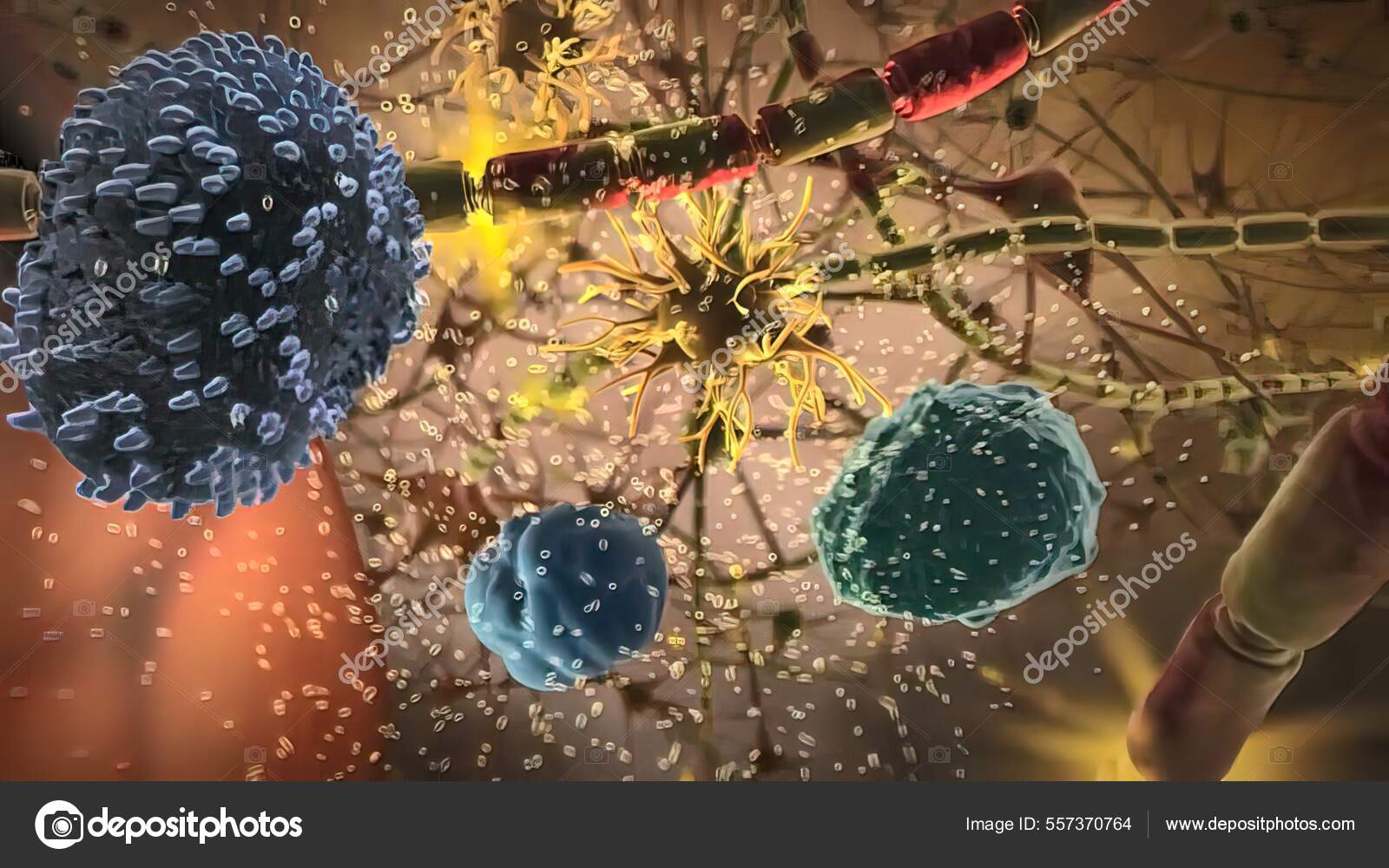 Nervous System Neuron Cells Cells Nervoussystem Medical Illustration ...