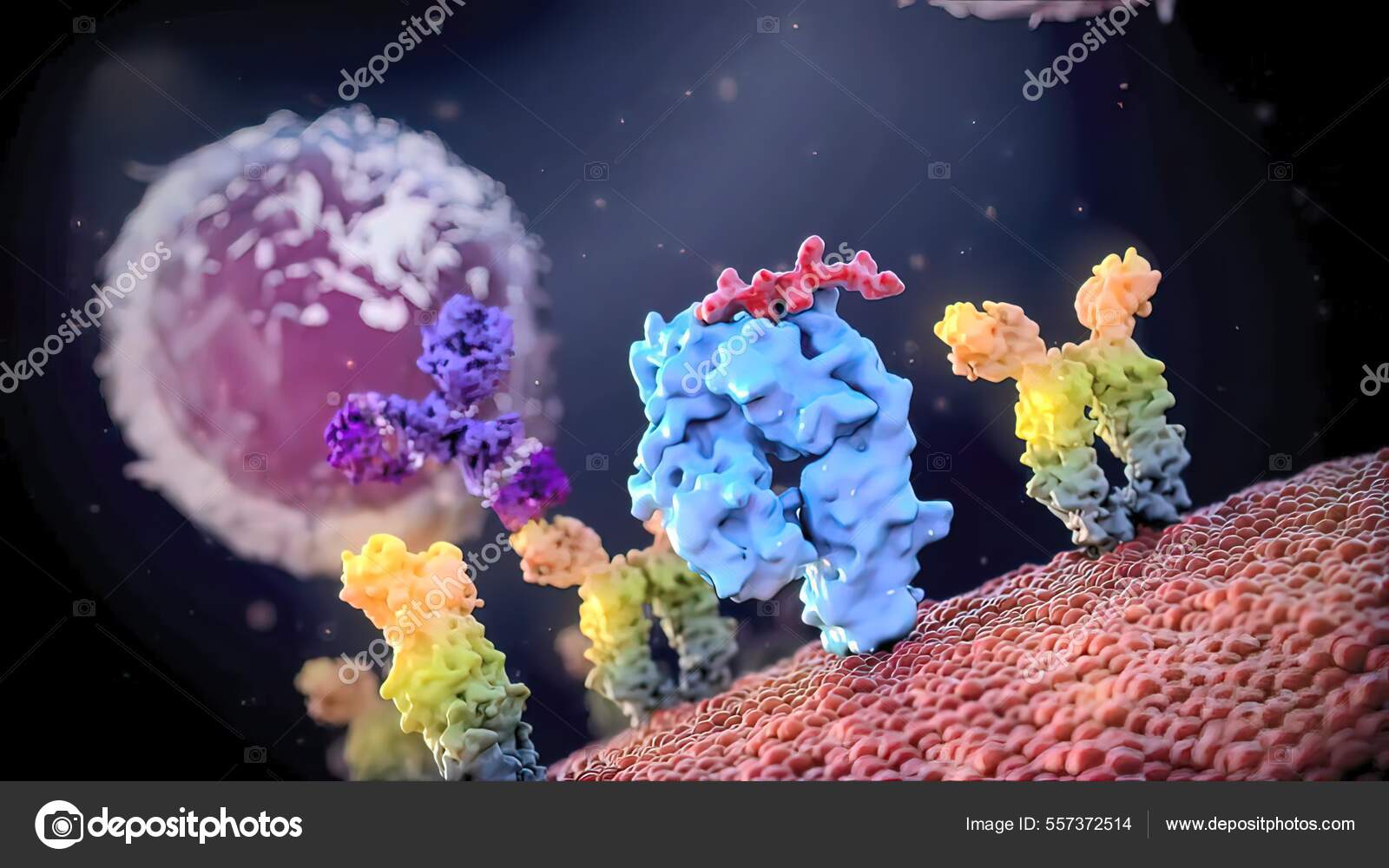 Cell Structure Components Mitochondria Nucleus Cytoplasm Illustration ...