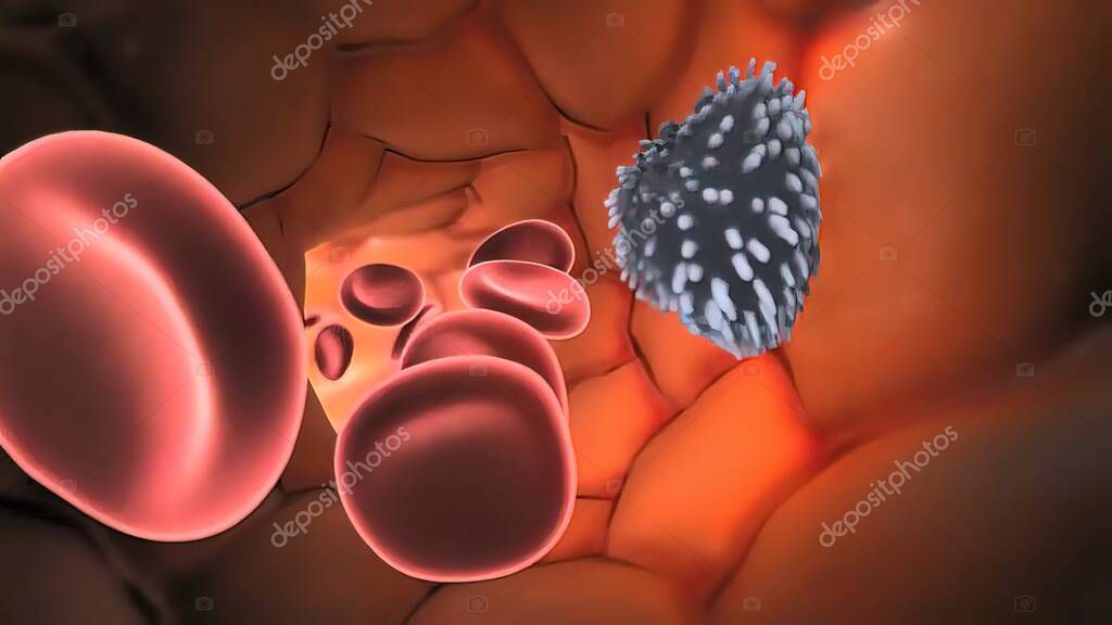 Las citocinas inflamatorias movilizan el sistema inmunitario en ...