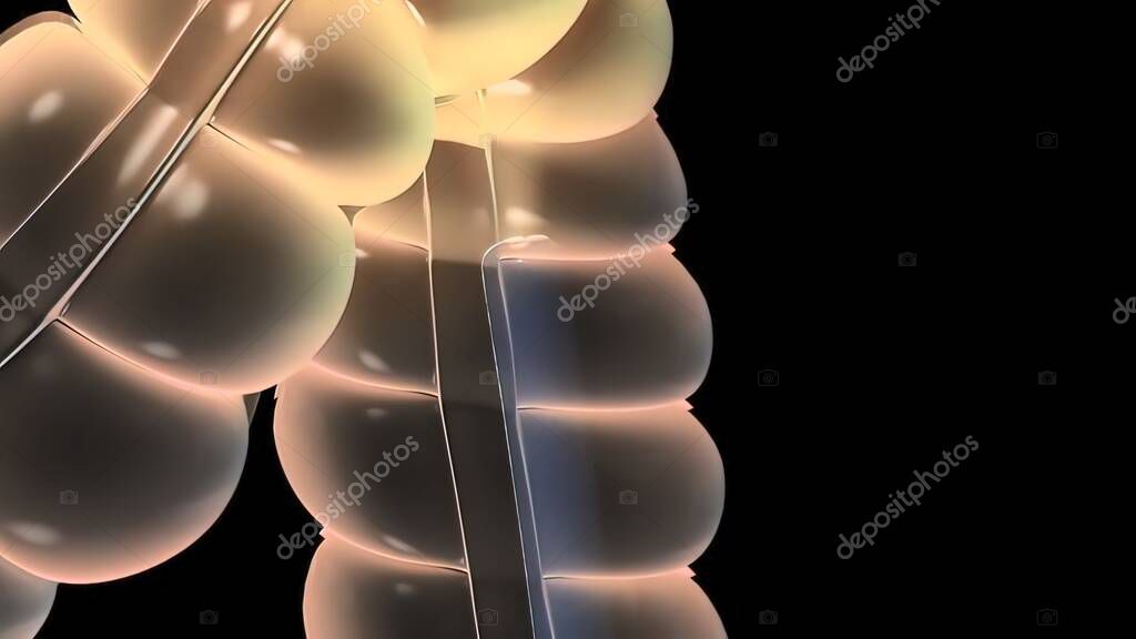 Biopsia de colonoscopia del tracto gastrointestinal en pacientes ...