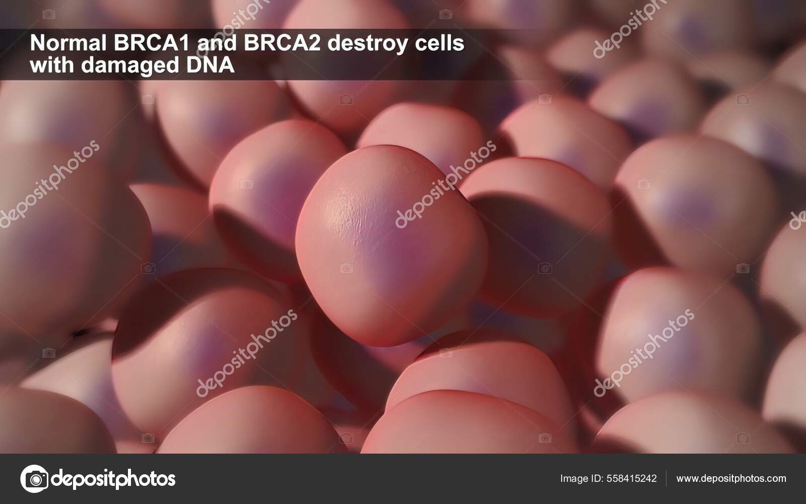 Defects Due Dna Damage Lead Tumor Cancer Formation Death Healthy Stock ...