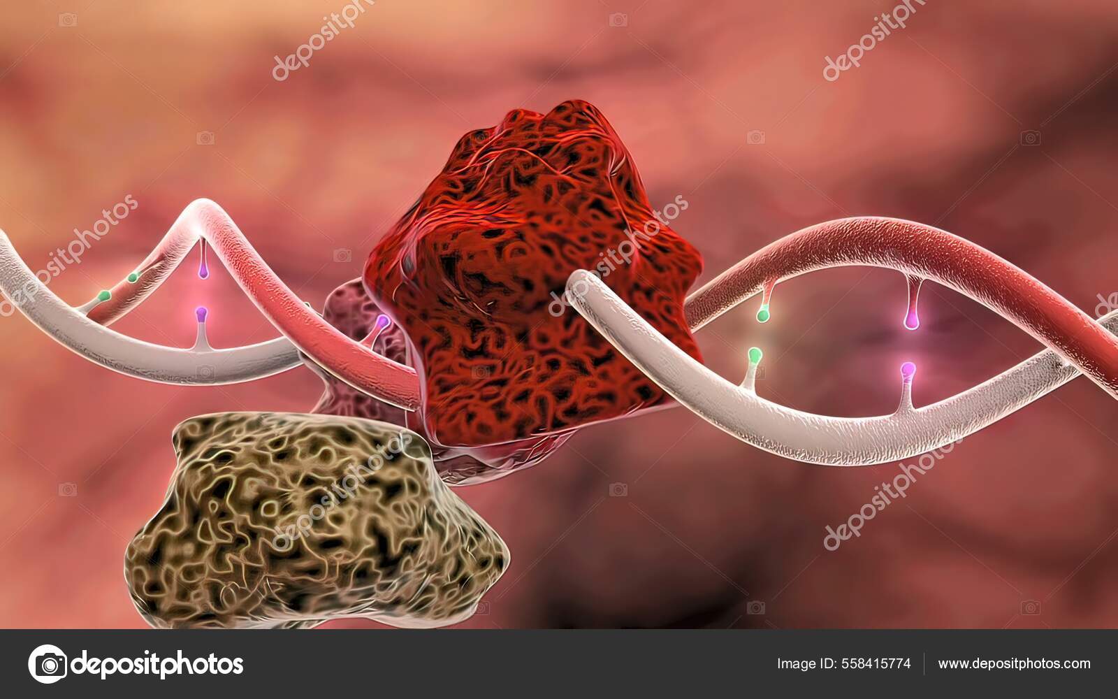 Genetic Dna Damage Process Mutation Radiation Affects Dna Illustration ...