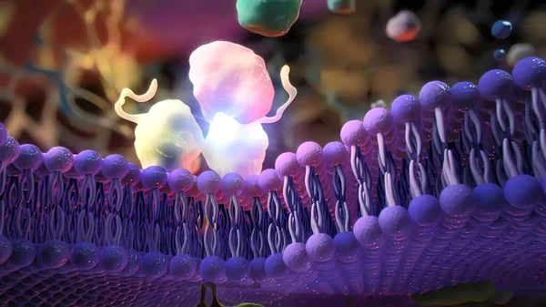 Ion channel Stock Photos, Royalty Free Ion channel Images | Depositphotos