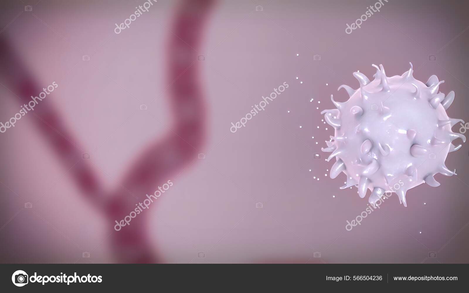 Inner Layer Synovial Membrane Inner Layer Joint Which Epithelium ...