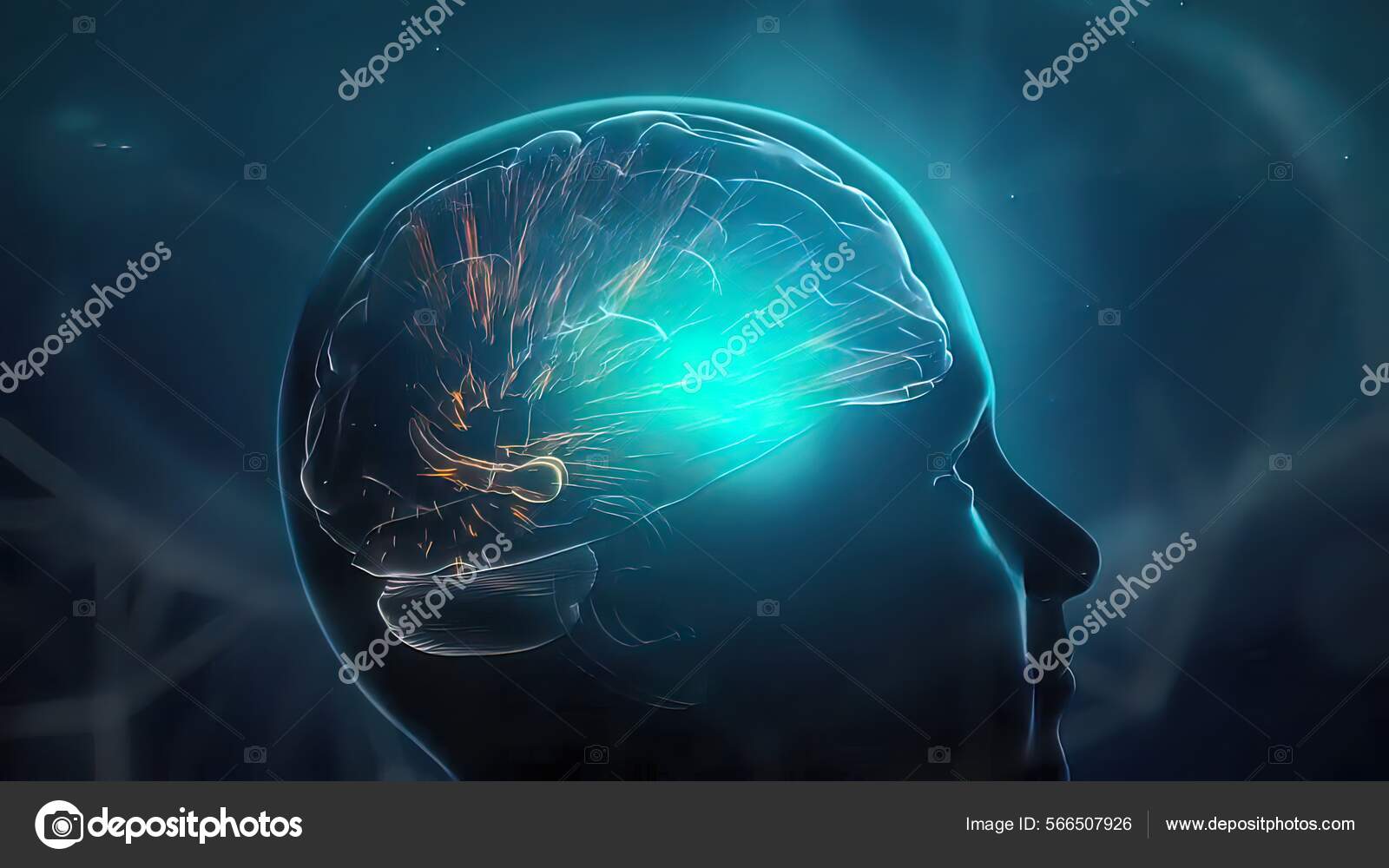 Neurons Transmit Messages Brain Neurons Cells Pass Chemical Electrical ...