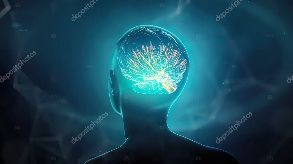 Neurons Transmit Messages In The Brain. Neurons are the cells that pass ...