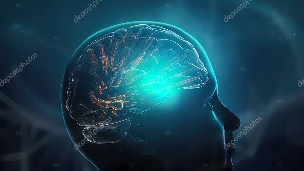 Neurons Transmit Messages In The Brain. Neurons are the cells that pass ...