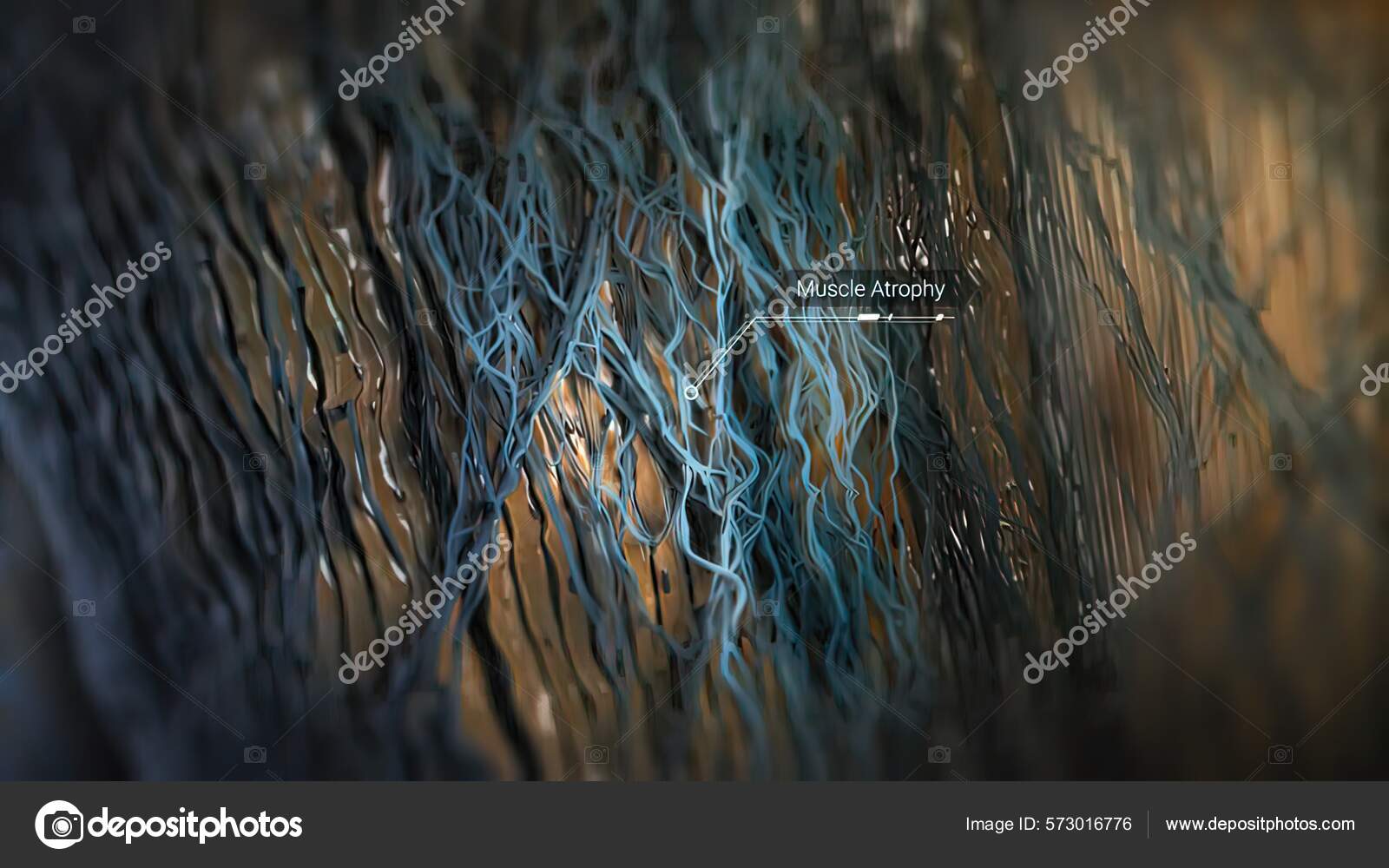 Muscles Tendon Illustration Stock Photo by ©soundpic 573016776