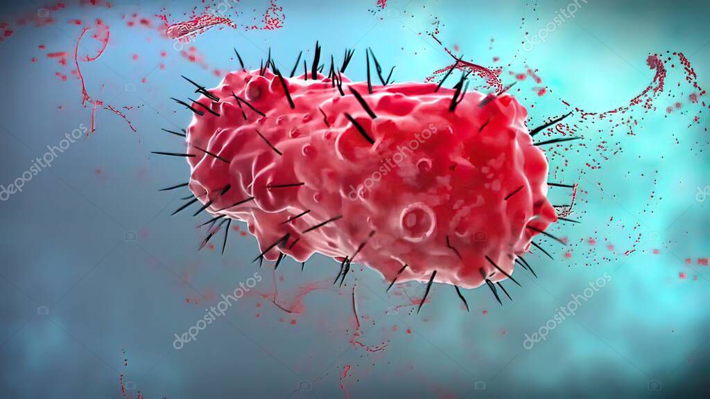 Como las primeras células fagocíticas del sistema inmunitario innato ...