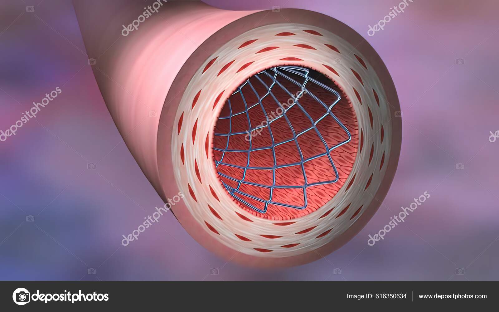 Cell Membrane Also Known Plasma Membrane Double Layer Lipids Proteins ...