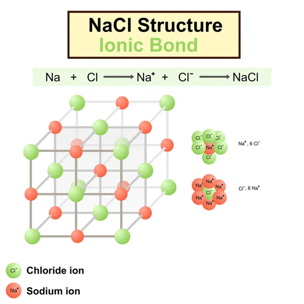 Nacl Structure Unit Cell